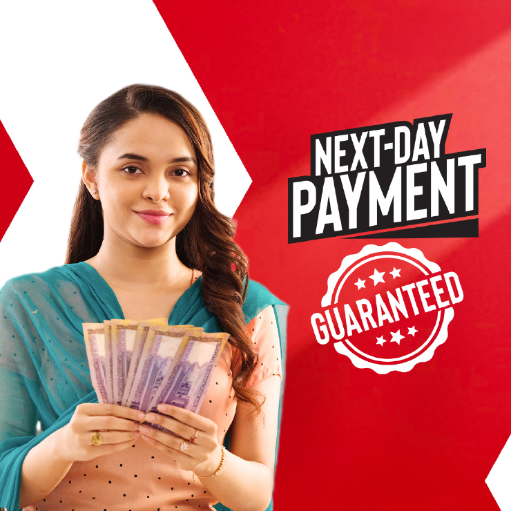 Next Day Payment Image